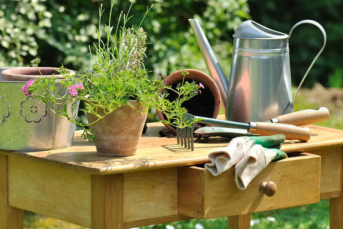 12 Essential Tools for Starting a Vegetable Garden - Tools Trove