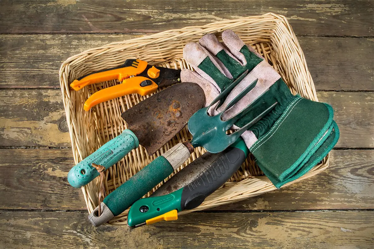 How to Properly Maintain Your Garden Tools - Tools Trove