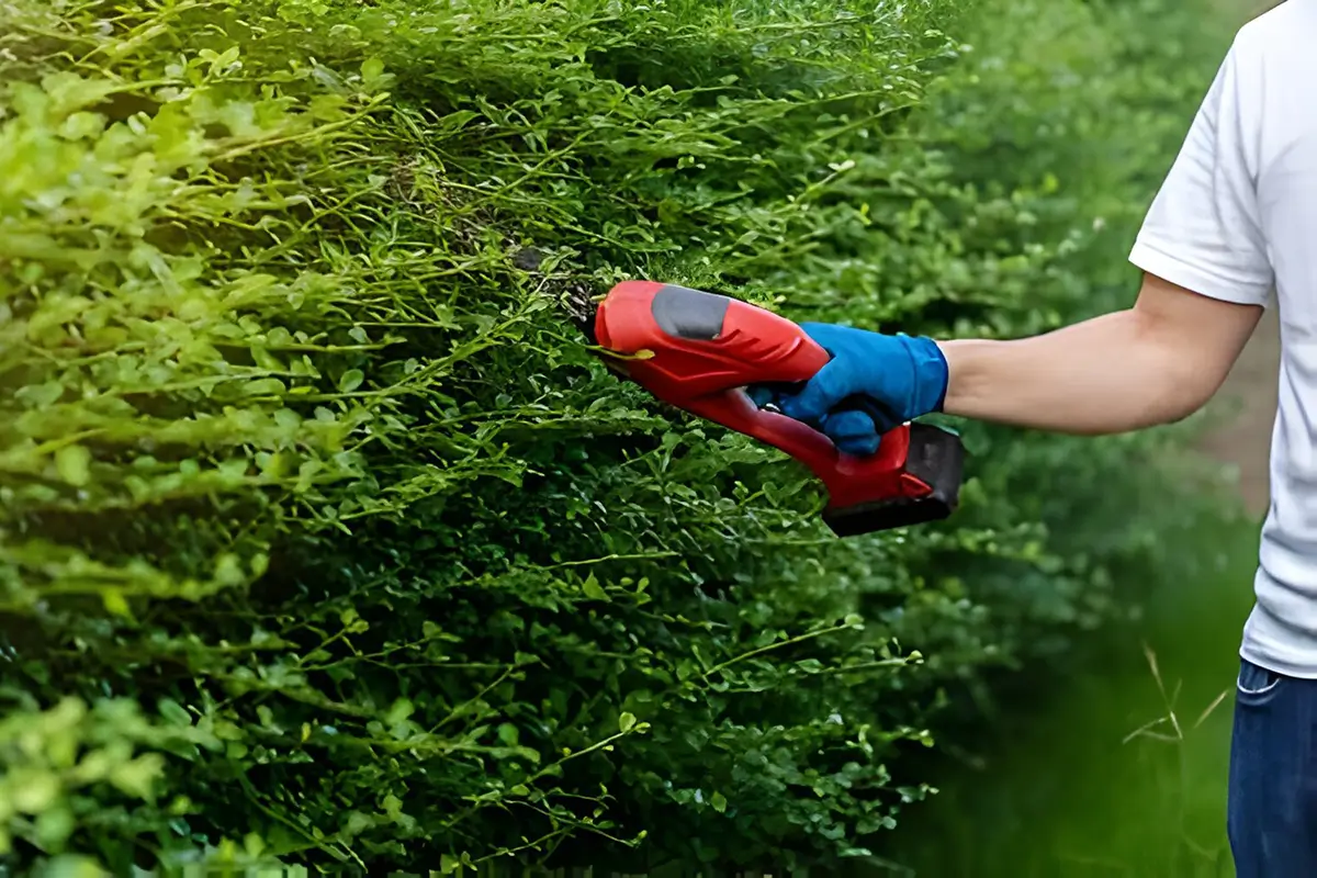 How to Choose the Right Cordless Tool for the Job - Tools Trove