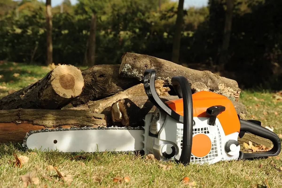 What to Know Before Buying a Chainsaw - Tools Trove